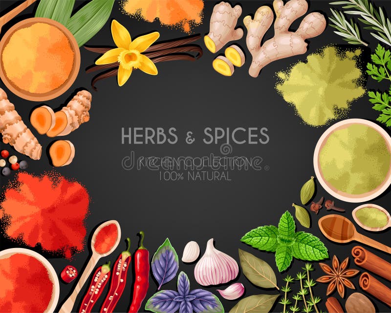 Vector Card with High Detailed Spices and Herbs Stock Vector ...
