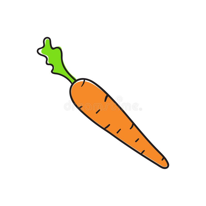 Vector carrot icon stock vector. Illustration of ripe - 222265223