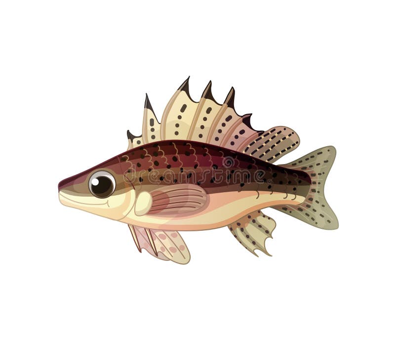 Ruff Fish Stock Illustrations – 379 Ruff Fish Stock Illustrations ...