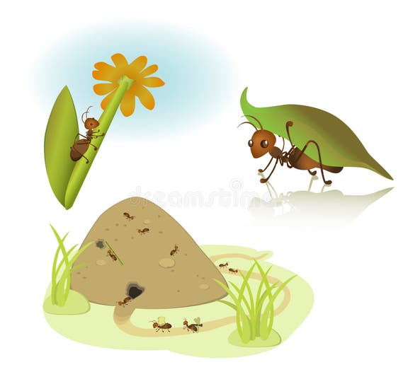 Cartoon Ants Stock Illustrations – 4,493 Cartoon Ants Stock ...