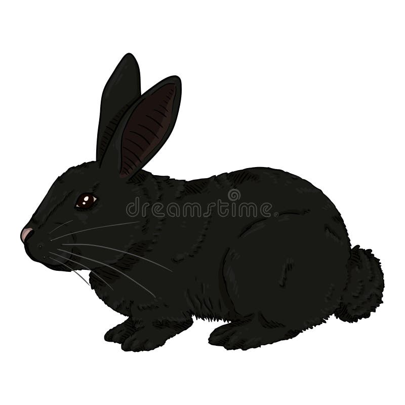Side View Little Bunny Stock Illustrations – 48 Side View Little Bunny ...