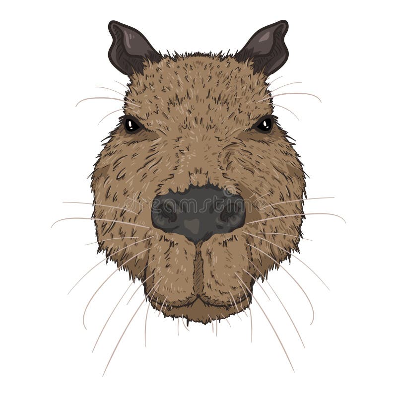 Cartoon Capybara Stock Illustrations – 6,807 Cartoon Capybara Stock ...