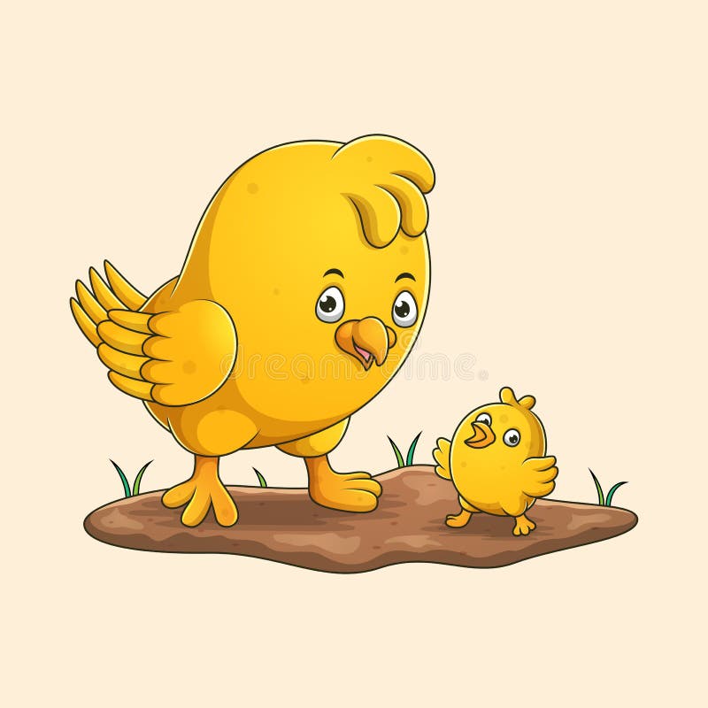 Vector Cartoon Chicken and Chicks Stock Vector - Illustration of bird ...