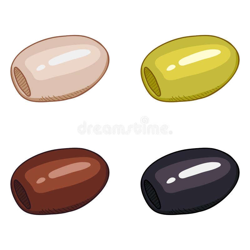 Vector Cartoon Color Olives Stock Vector - Illustration of olives ... Vector Cartoon Color Olives Stock Vector - Illustration of olives ...