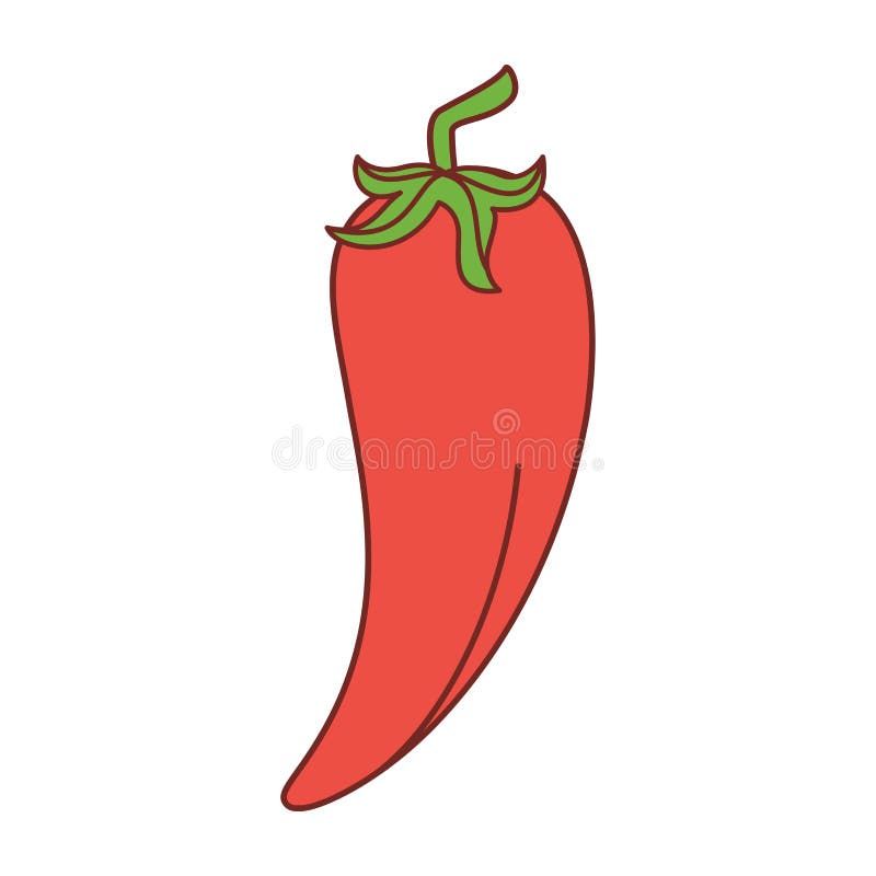 Vector Cartoon Cute Mexican Chilli Pepper Llustration Isolated Stock ...