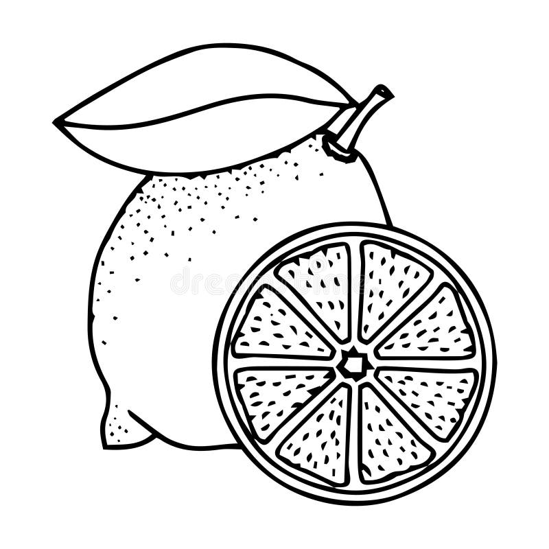 Vector Cartoon Fresh Lemon Hand Draw. Lemon Doodle Icon Illustration ...