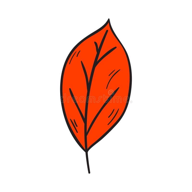 Vector Cartoon Hand Drawn Red Autumn Leaf Stock Vector - Illustration ...