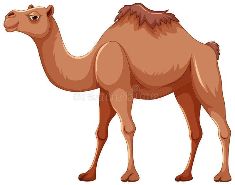 Camel Walking Outline stock vector. Illustration of drawing - 284978675