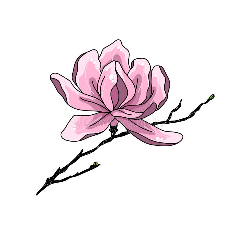 Magnolia Cartoon Stock Illustrations – 2,012 Magnolia Cartoon Stock ...