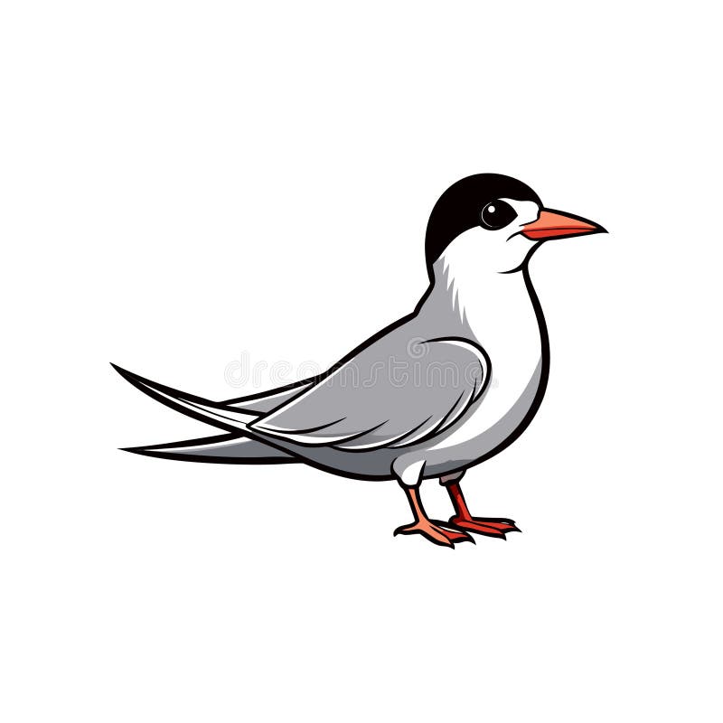 Cartoon Illustration of a Cute Common Tern Bird Stock Illustration ...
