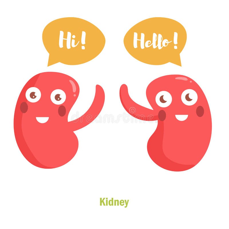 Happy kidney cartoon stock vector. Illustration of cartoon - 53496679