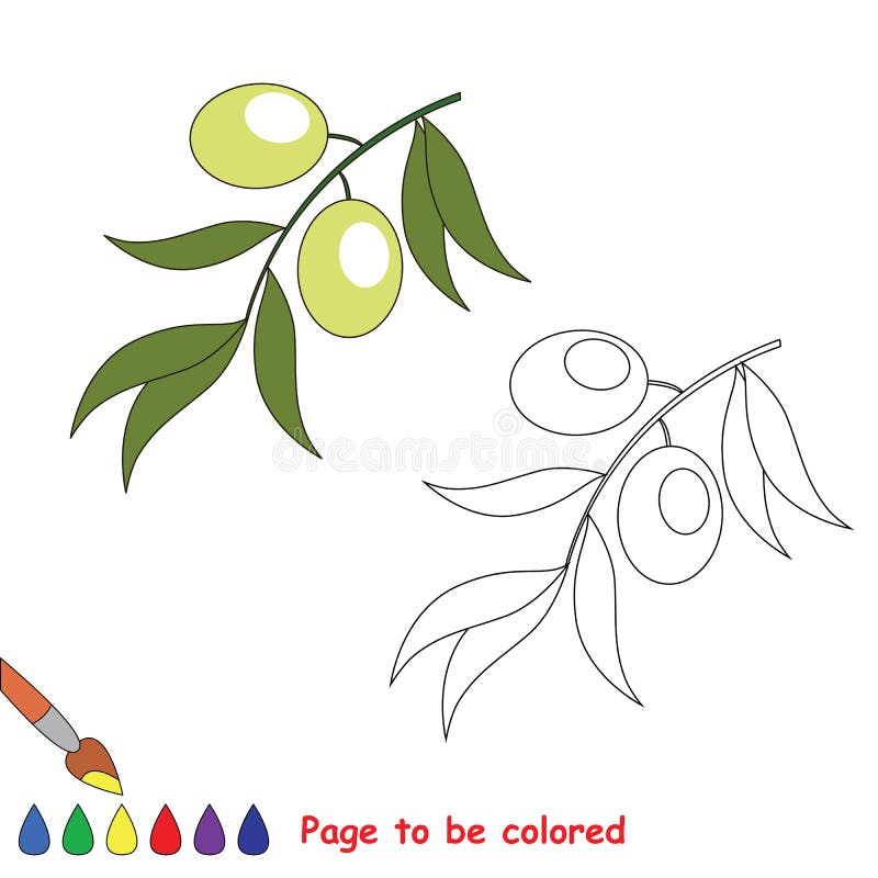 Sliced Olive Coloring Page
