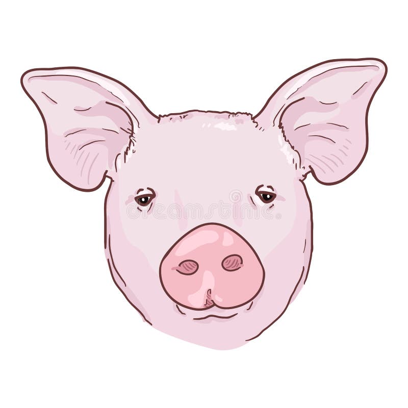 Vector Cartoon Pig Face stock vector. Illustration of head - 184224788