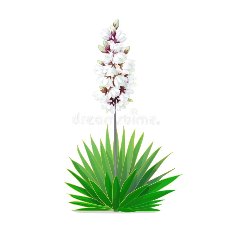Vector Cartoon Plants Clip Art Stock Vector - Illustration of bloom ...