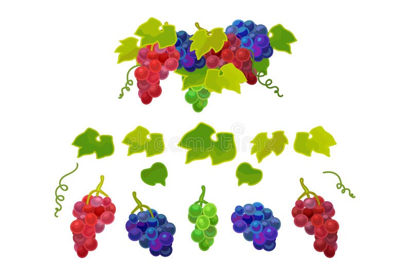 Vector Cartoon Plants Clip Art Stock Vector - Illustration of grapevine ...