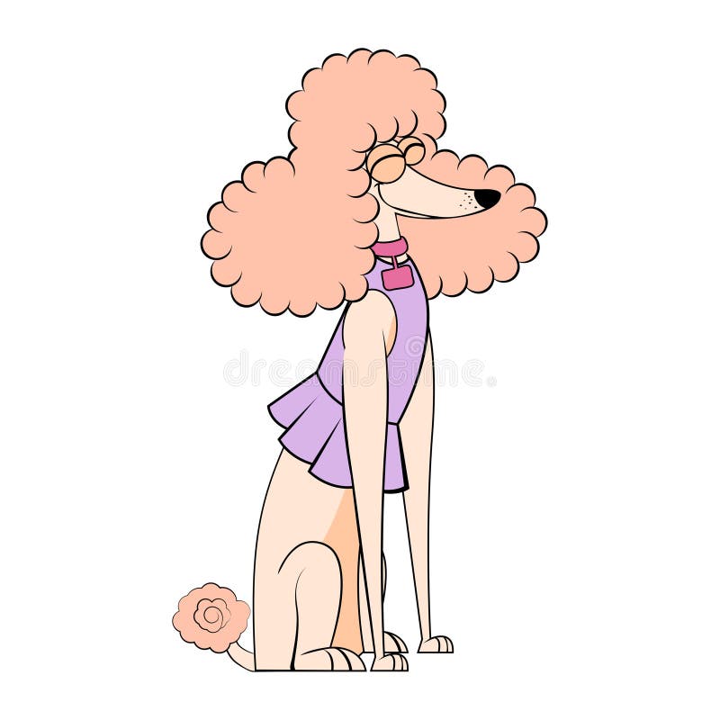 Vector Cartoon Poodle Dog Character Isolated Illustration Stock Vector ...