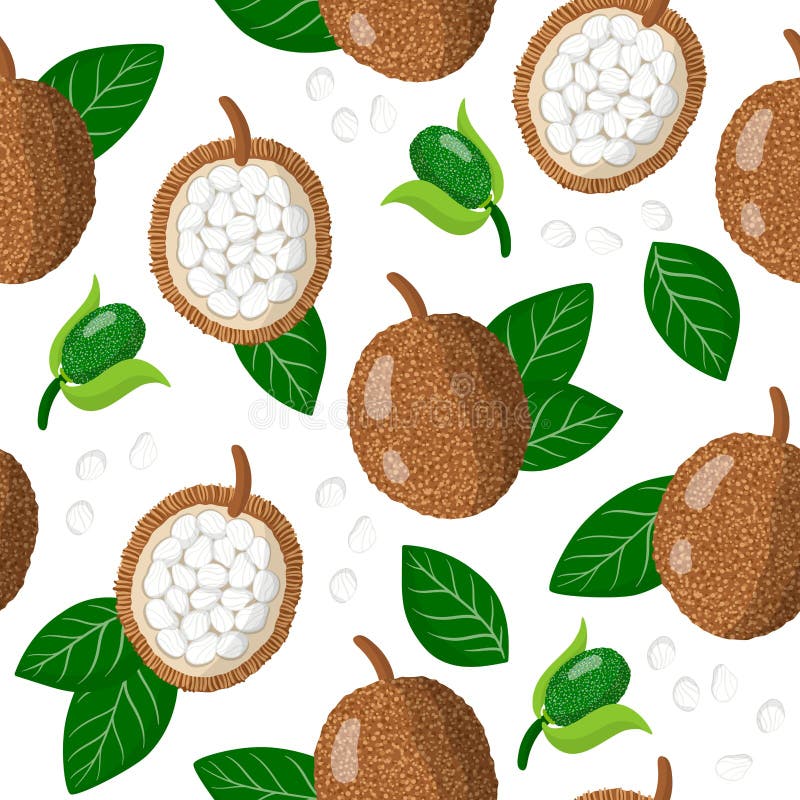 Vector Cartoon Seamless Pattern with Marang Exotic Fruits, Flowers and ...