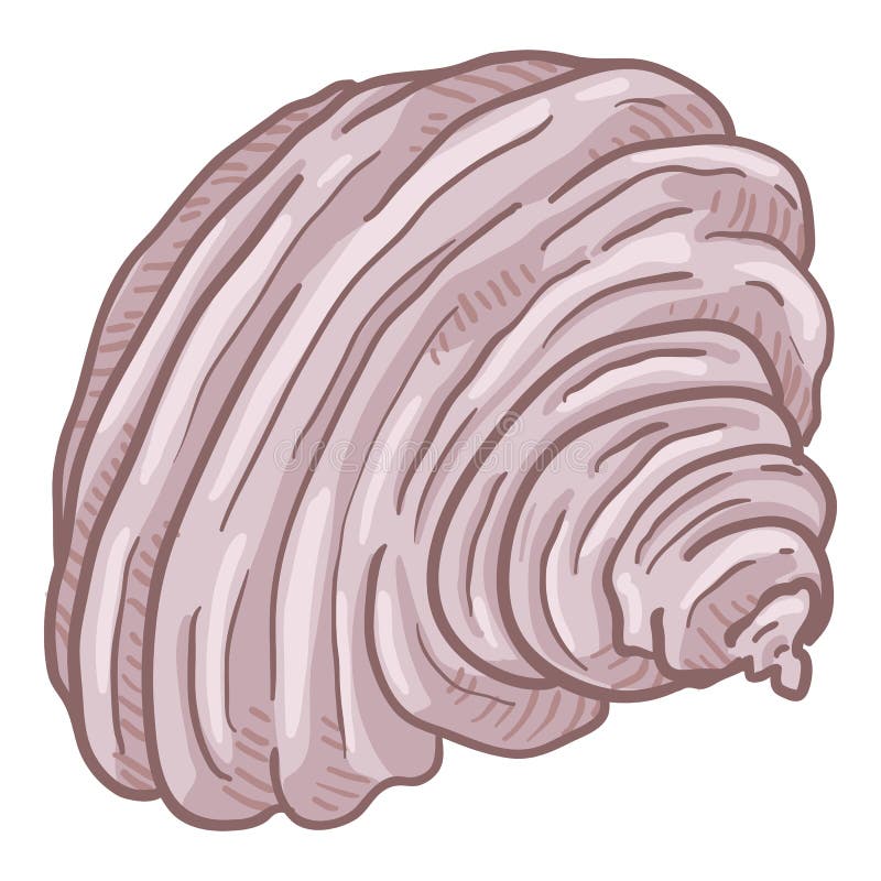 Vector Cartoon Seashell Isolated Illustration Stock Vector ...