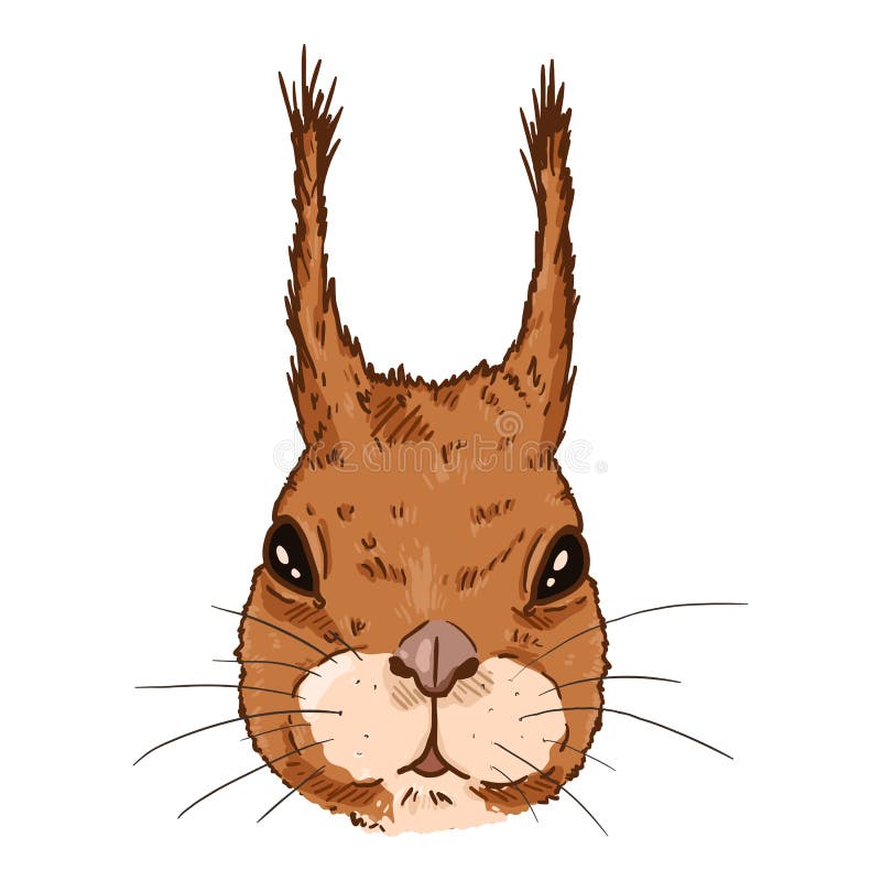 Vector Cartoon Squirrel Isolated Illustration Stock Vector ...