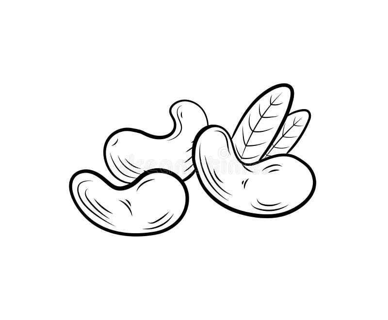 Vector cashew nuts clipart stock vector. Illustration of green - 97115618 Vector cashew nuts clipart stock vector. Illustration of green - 97115618