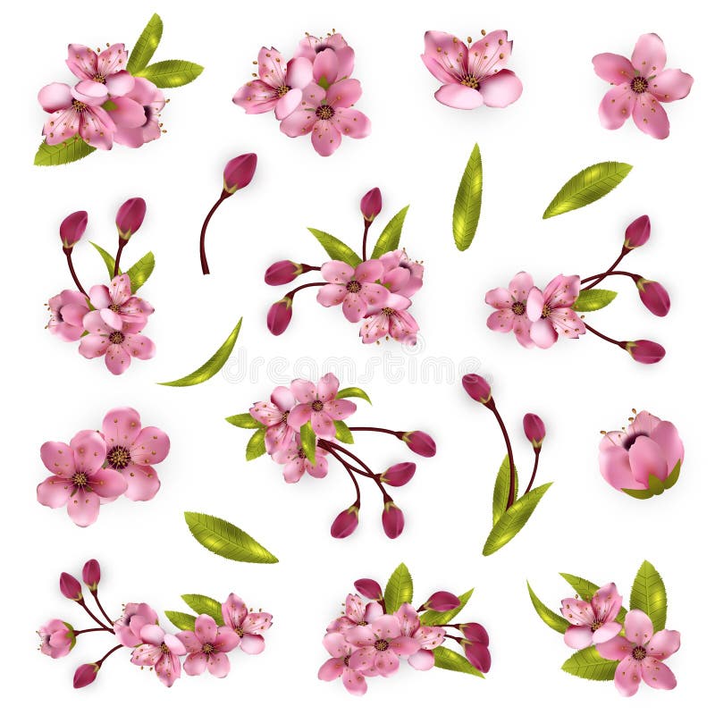 Vector cherry icon stock illustration. Illustration of juicy - 391355135