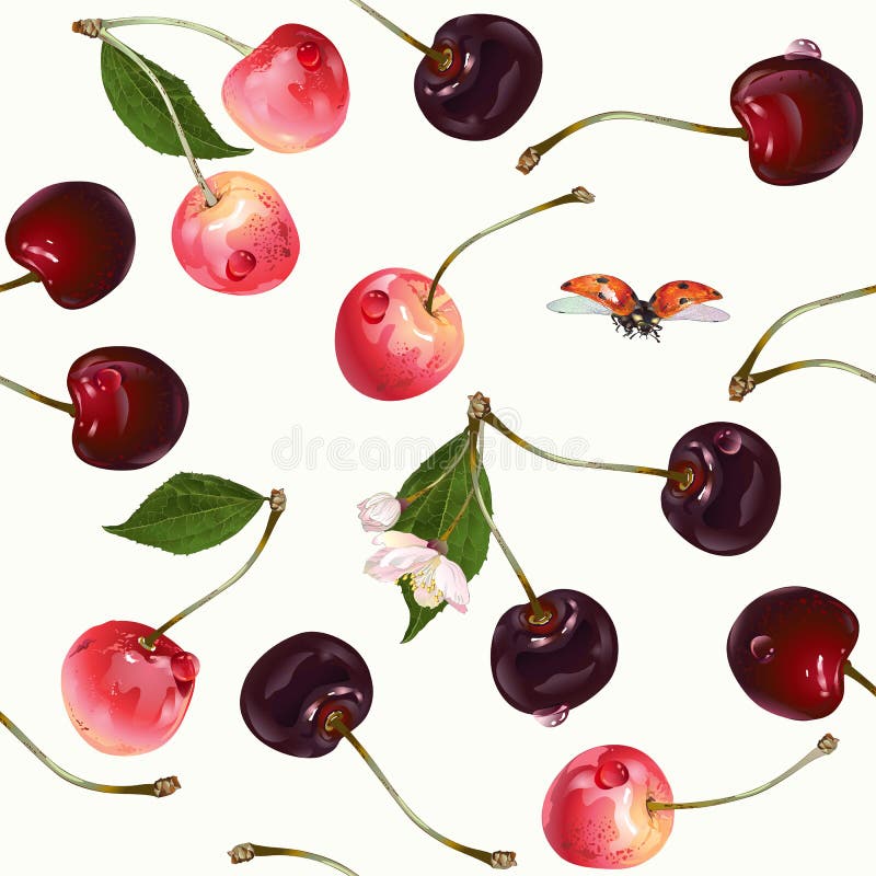 Cherry Seamless Pattern on Dark Blue Background EPS 10 Vector Stock Vector - Illustration of ...