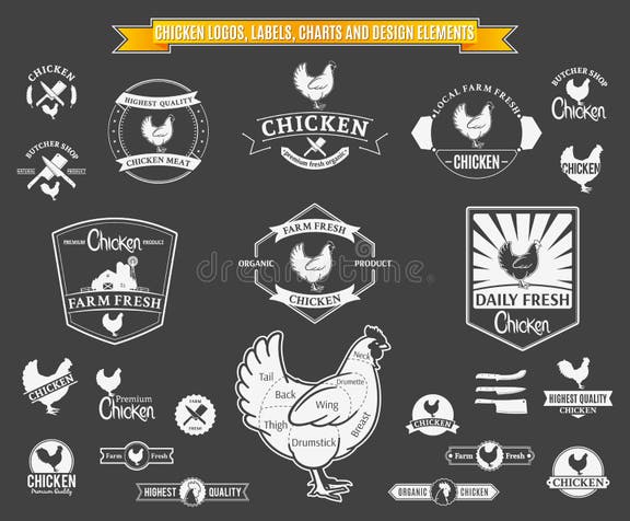 Vector Chicken Labels, Charts and Design Elements Stock Vector ...