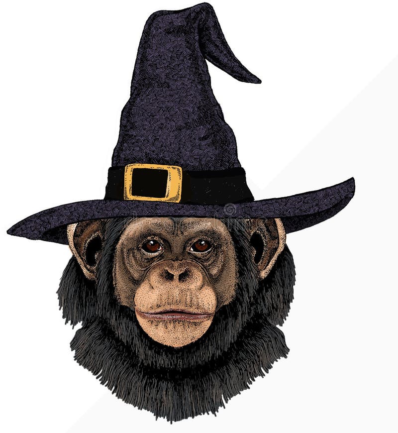 Vector Chimpanzee Portrait. Ape Head, Monkey Face. Stock Vector ...