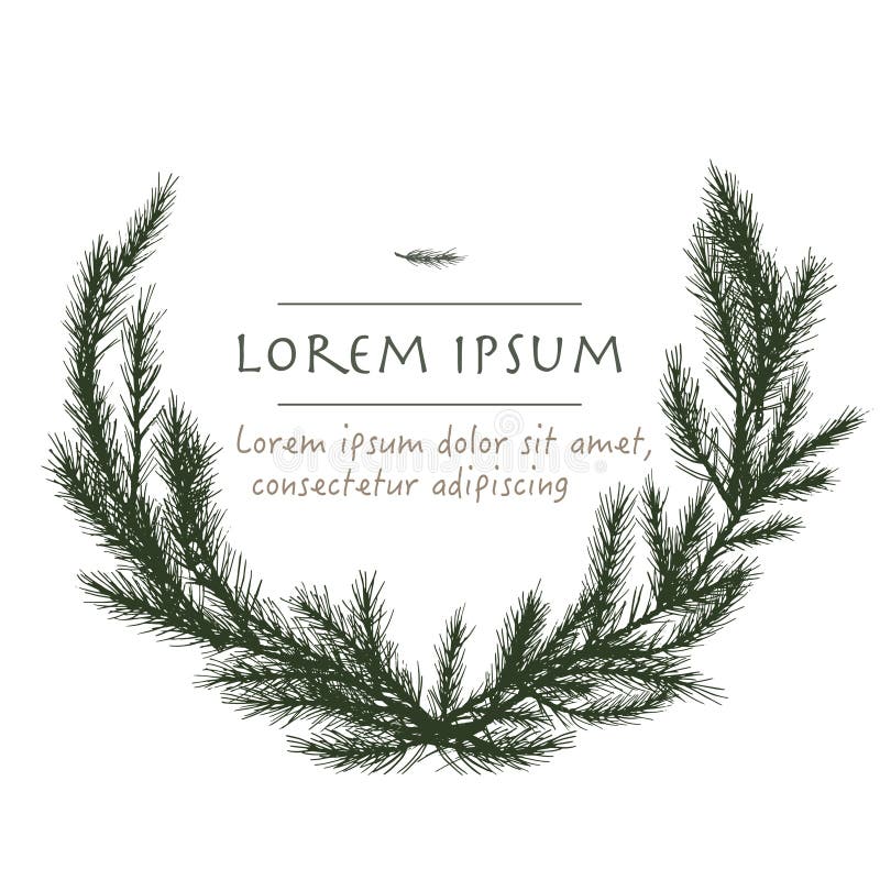 Christmas Wreath of Pine Tree Branches. Vector Stock Vector ...