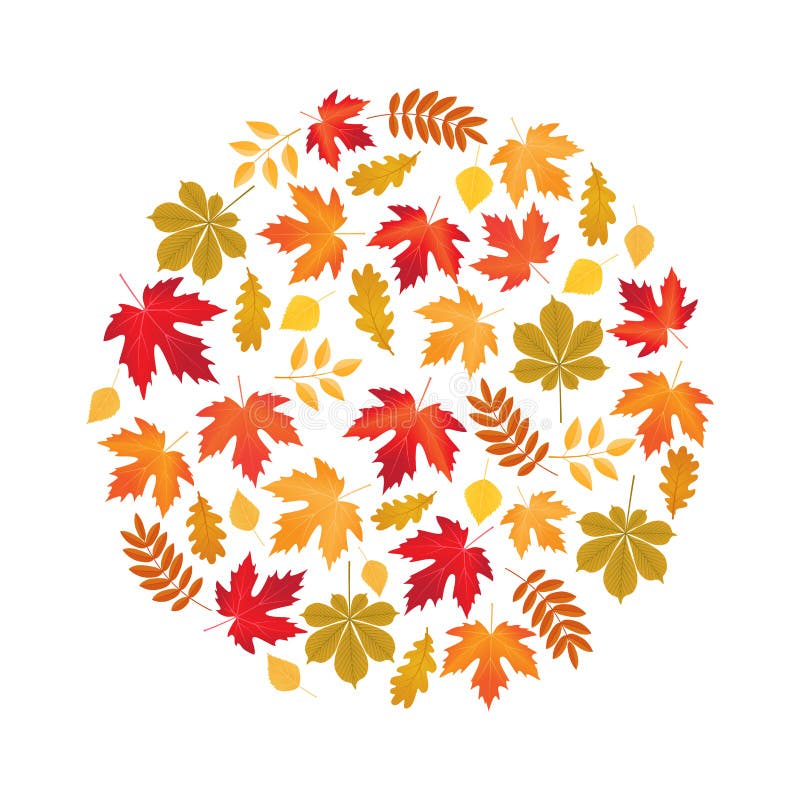 Vector Circle Made of Autumn Leaves on White Background Stock Vector ...
