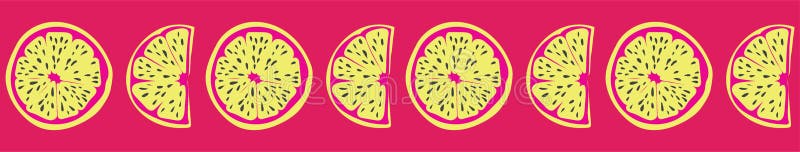 Vector Citrus Slices Seamless Border Stock Vector - Illustration of ...