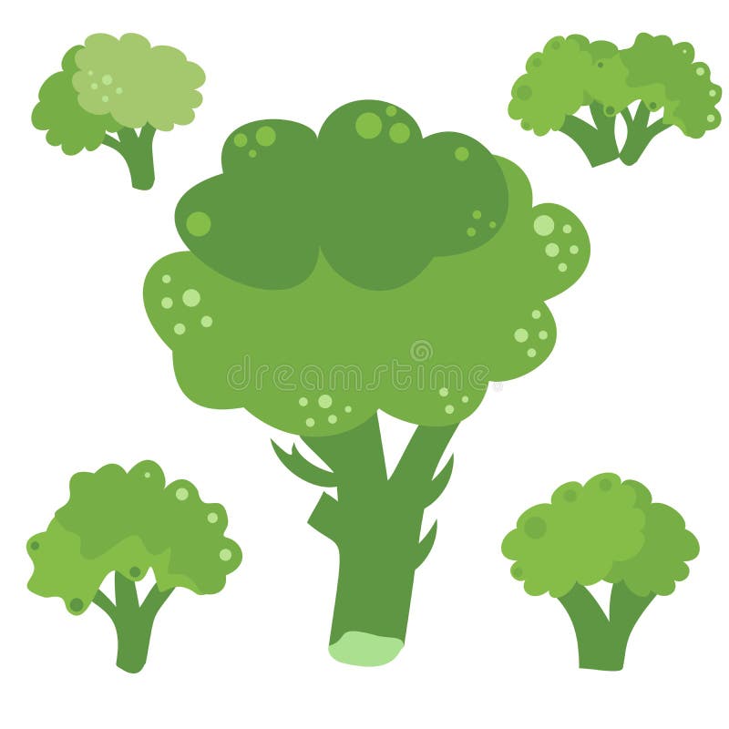 Set icons of broccoli. stock vector. Illustration of ripe - 161910942