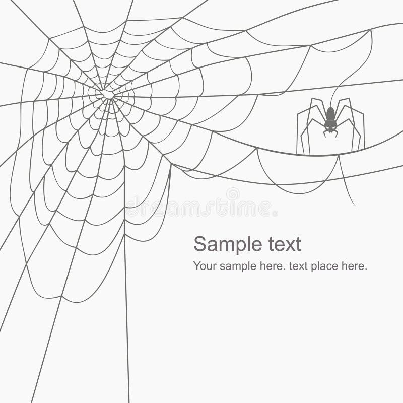 Spider gray stock vector. Illustration of graphic, organism - 8317040