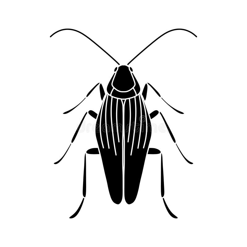 Vector Cockroach Illustration in Black and White Isolated on White ...