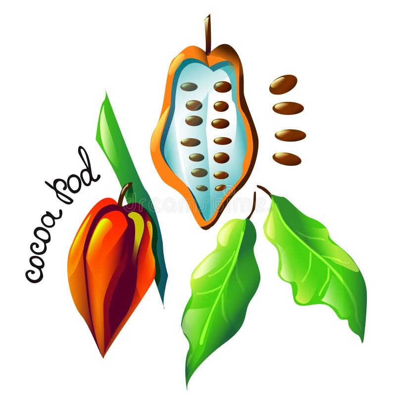 Criollo Stock Illustrations – 112 Criollo Stock Illustrations, Vectors ...