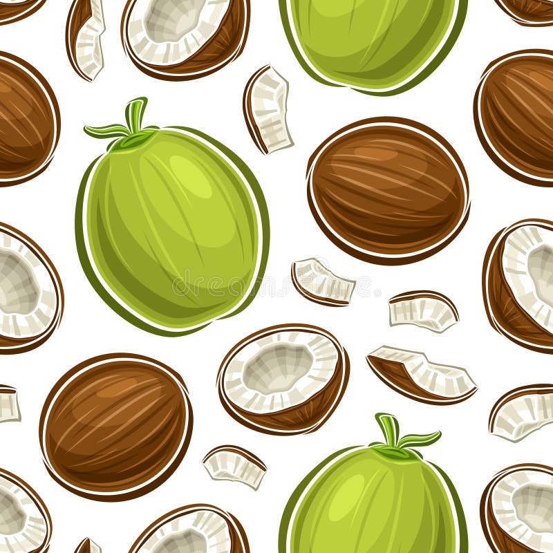 Coconut Oil Pattern Stock Illustrations – 848 Coconut Oil Pattern Stock ...