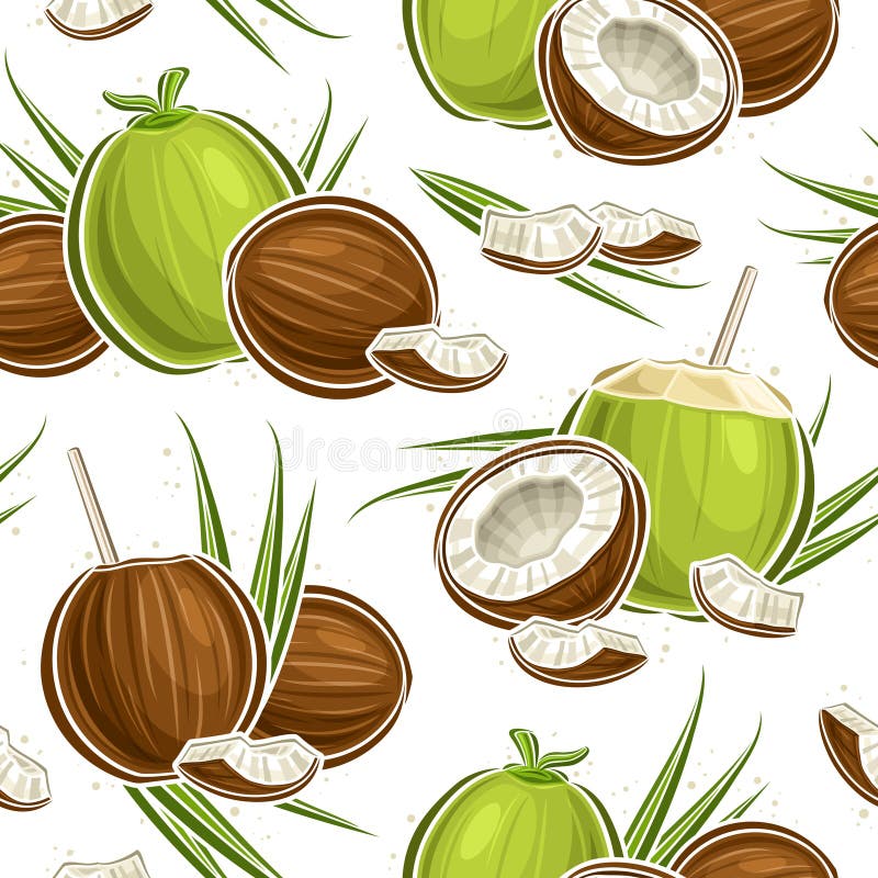 Vector Coconut and Tropical Leaves. Hand-drawn Illustration in Vintage Sketch Style Stock Vector ...