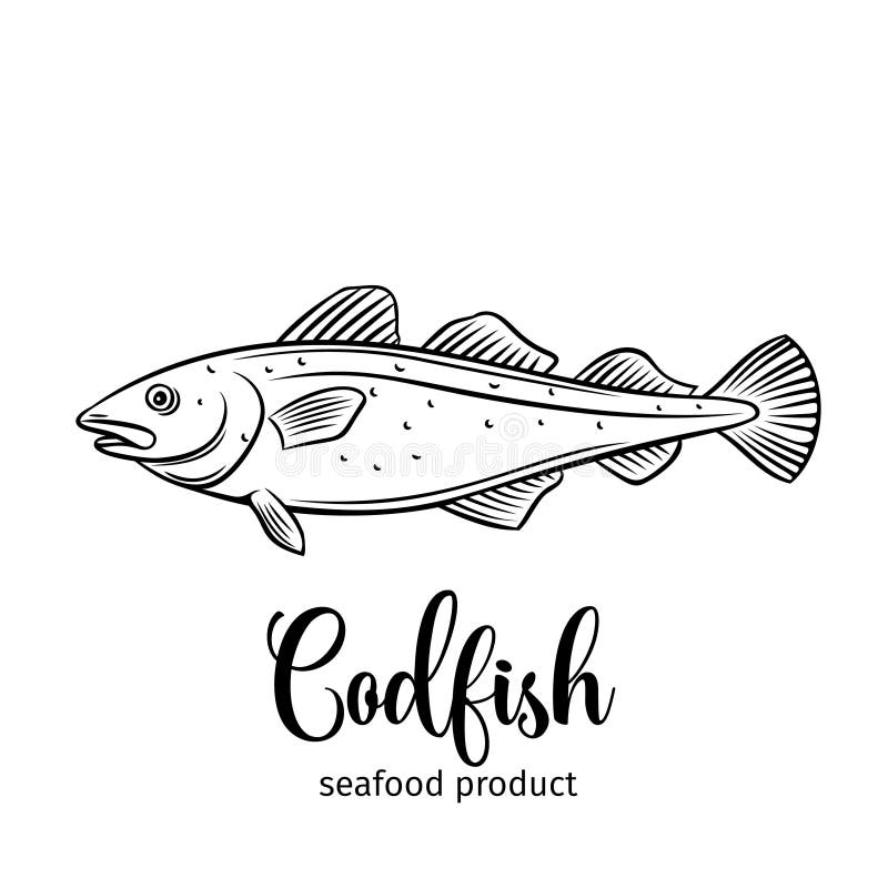 Codfish Icon Vector from Portugal Collection. Thin Line Codfish Outline ...