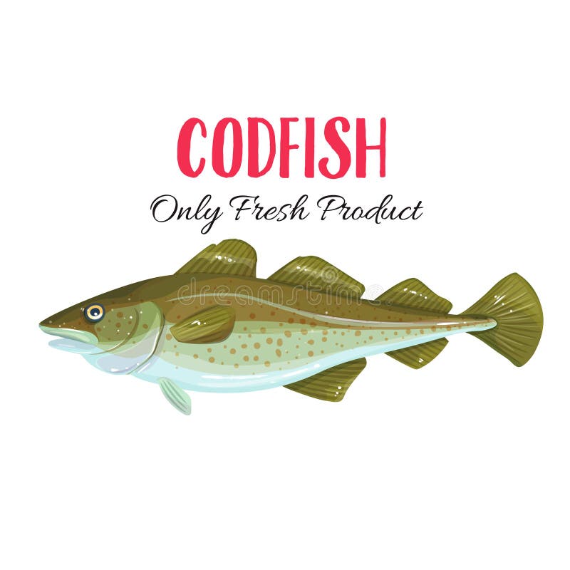 Codfish Stock Illustrations – 857 Codfish Stock Illustrations, Vectors ...