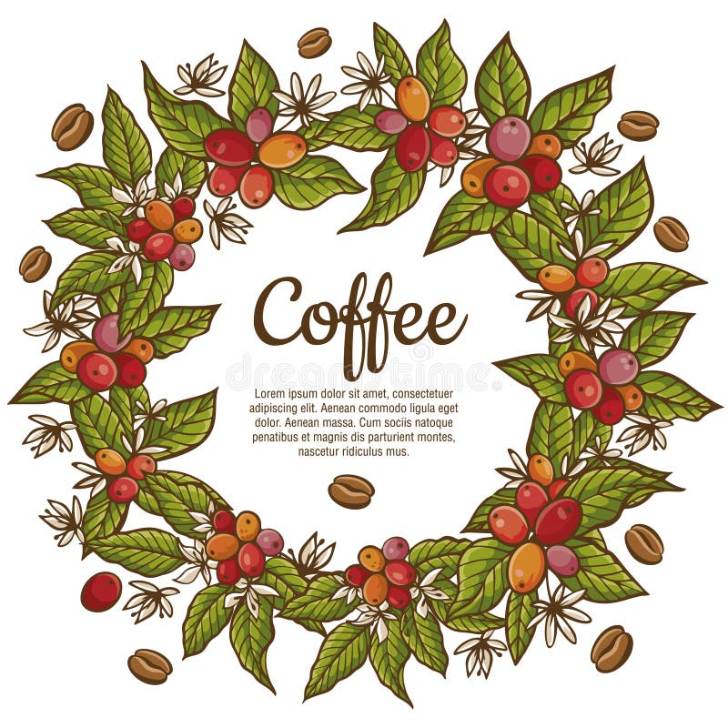 Vector Coffee Plants Color Banners. Design Templates for Advertising ...