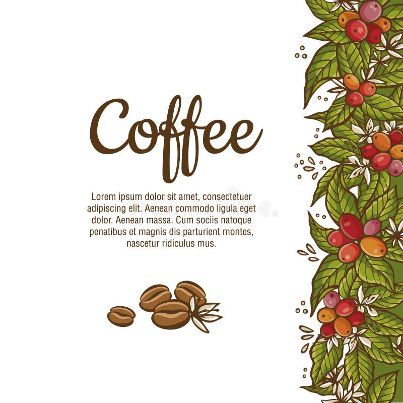 Vector Coffee Plants Color Banners. Design Templates for Advertising ...