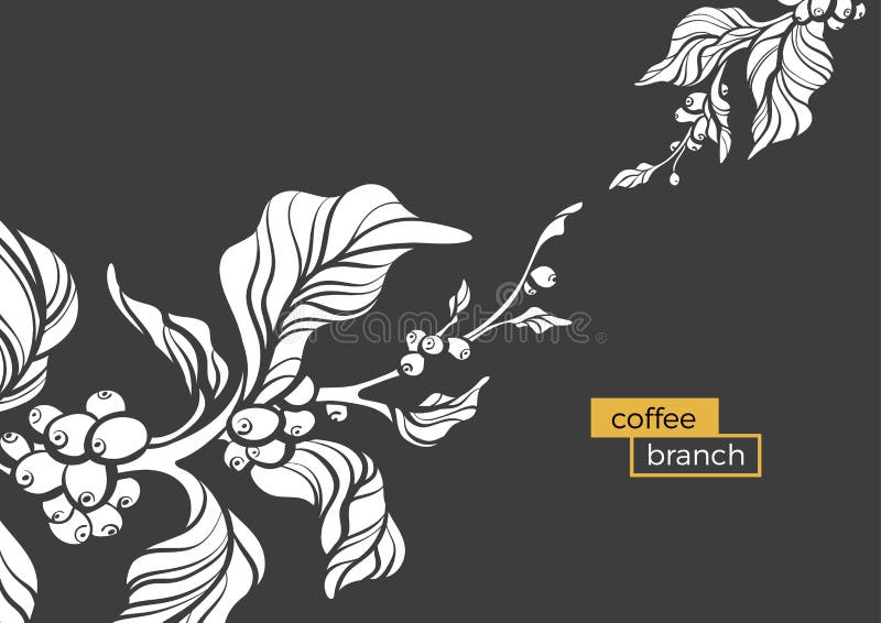 Vector Coffee Tree Branch. Template Stock Vector - Illustration of ...