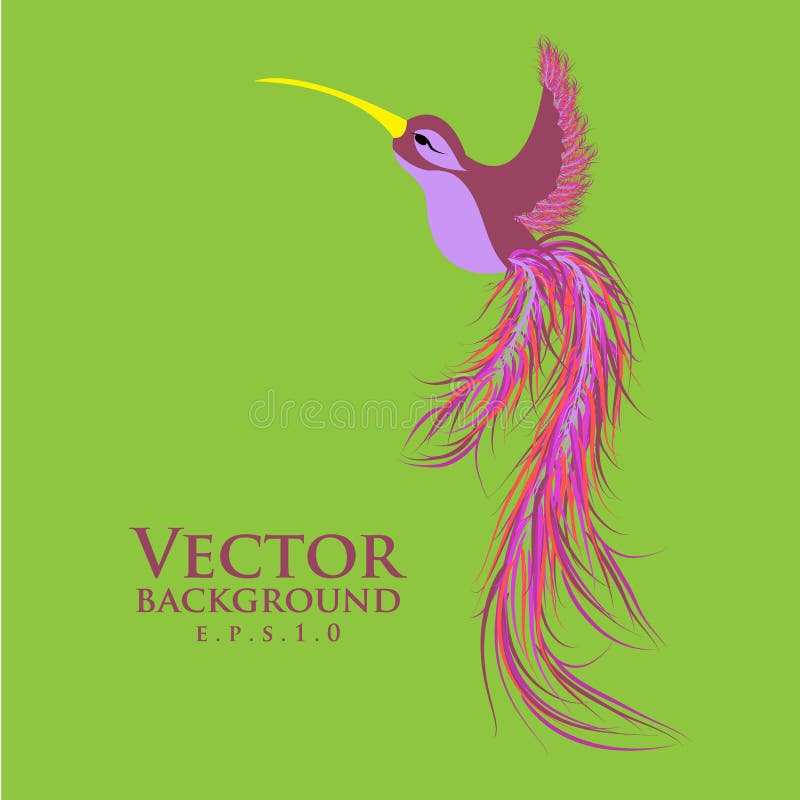 Vector Colibri Pink. Graceful Hummingbird Stock Vector - Illustration ...