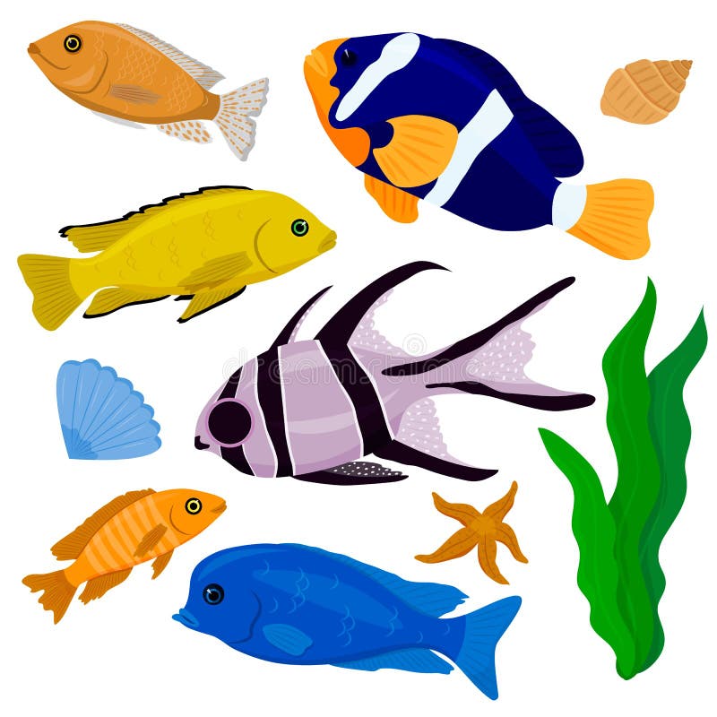 Colorful Tropical Fish Clipart Stock Illustrations – 1,433 Colorful ...