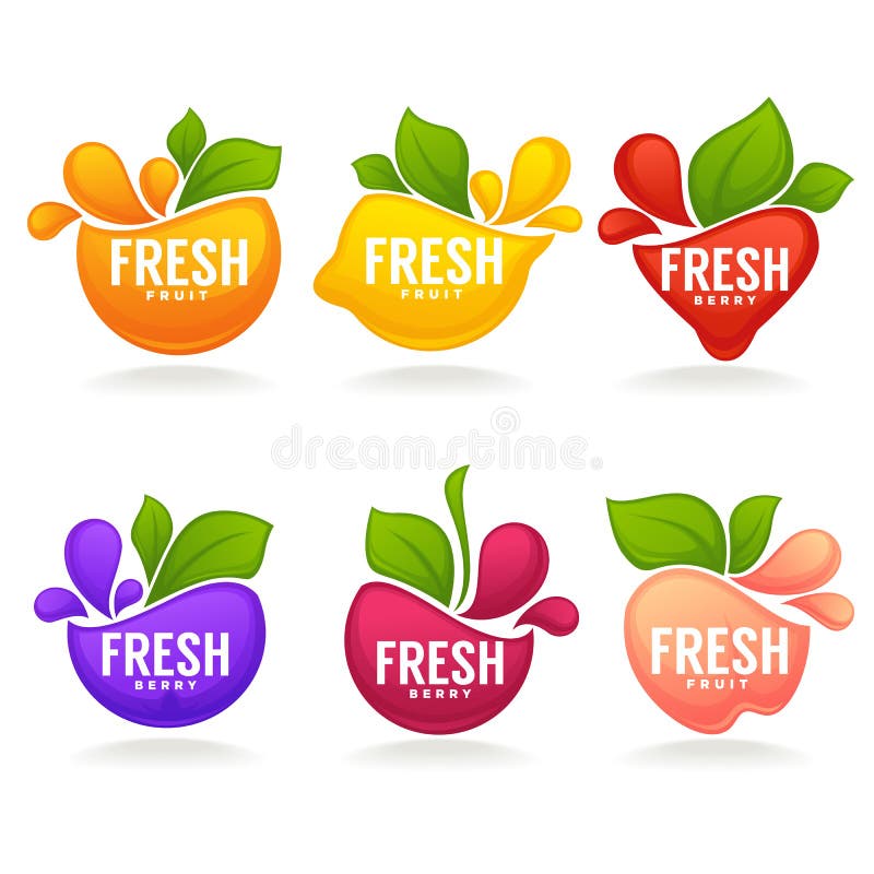 Vector Collection of Fresh Stylized Fruits and Berries Stock Vector ...