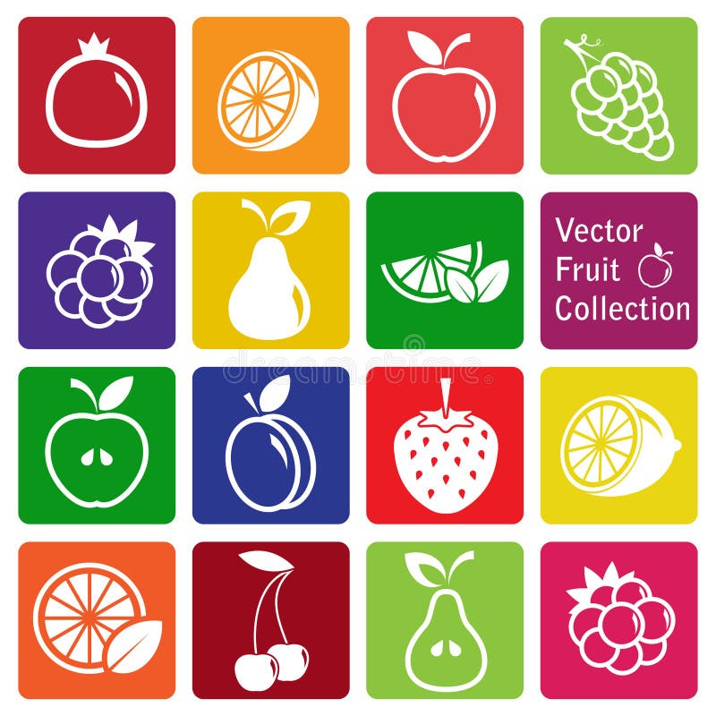 Vector Collection: Fruit Icons Stock Vector - Illustration of grunge ...