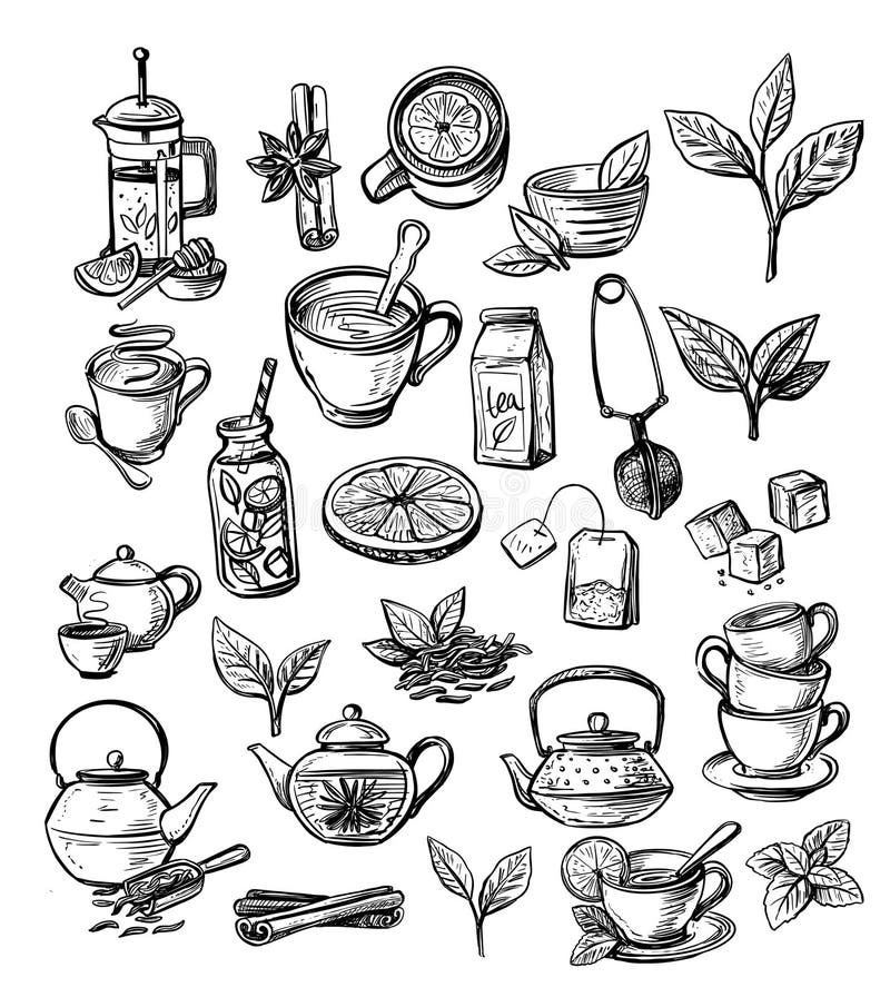 Vector Collection of Hand Drawn Tea Stock Vector - Illustration of ...