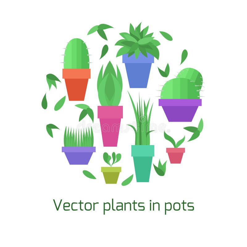 Vector Collection of Plants in Pots Stock Vector - Illustration of icon ...
