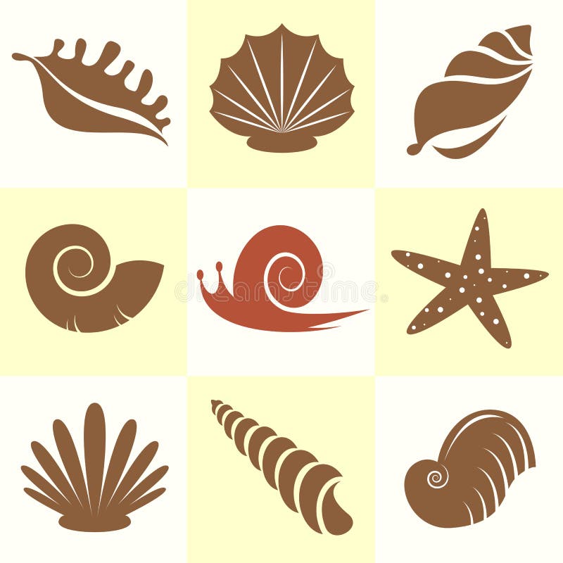 Shells Collection. Vector Set with Seashells and Starfish Stock Vector ...