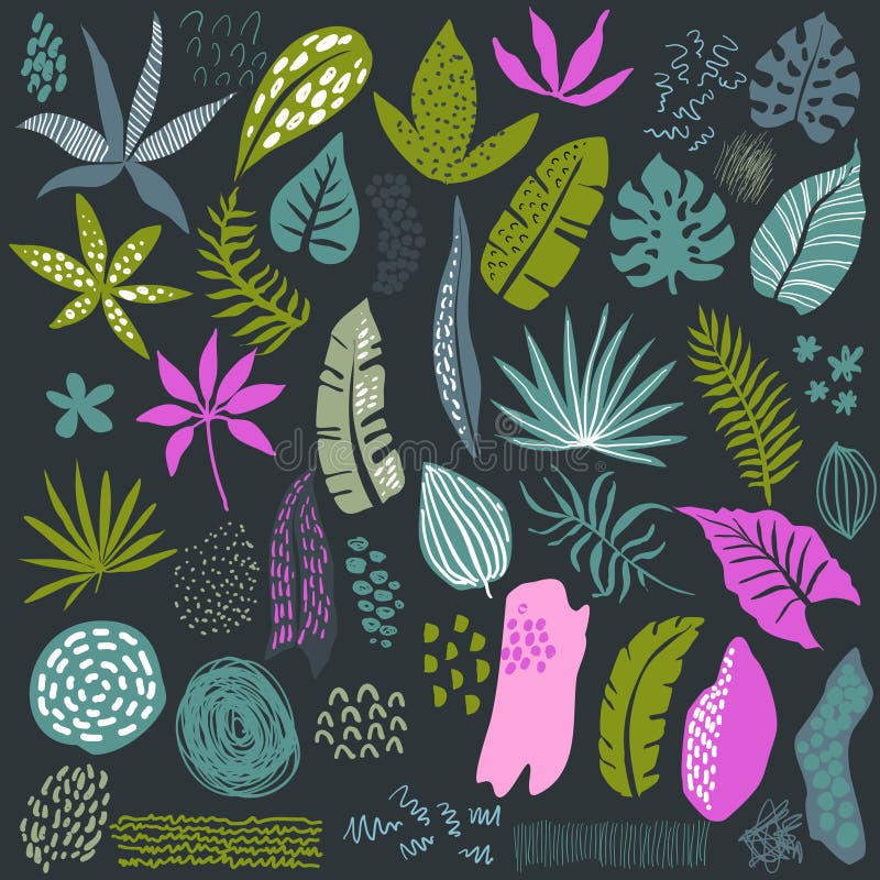 Vector Collection of Tropical Plants and Abstract Textures Stock Vector ...